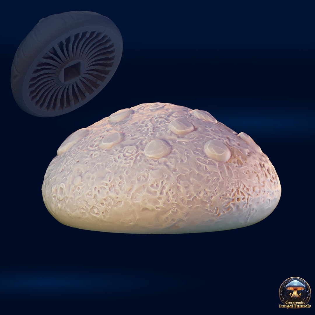 Fungal Tunnels Mushroom Cap 2 - 3DHEXES: Scatter Scenery 3d Printed ...