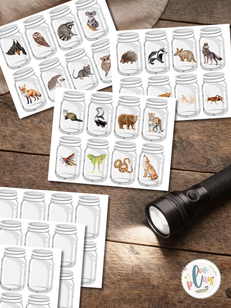 Nocturnal Animals Flashlight Cards | Montessori Learning (digital ...
