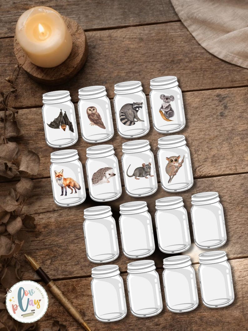 Nocturnal Animals Flashlight Cards | Montessori Learning (digital ...