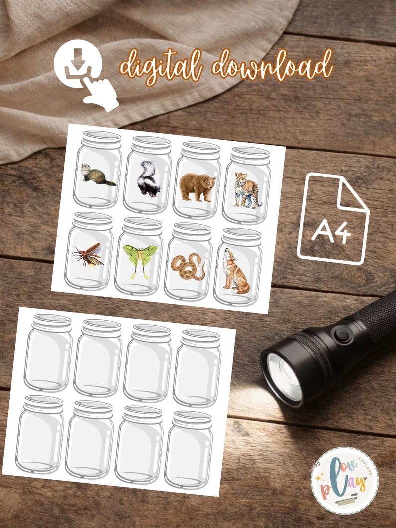Nocturnal Animals Flashlight Cards | Montessori Learning (digital ...