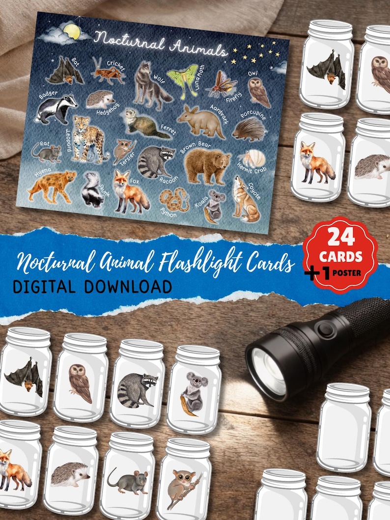 Nocturnal Animals Flashlight Cards | Montessori Learning (digital ...