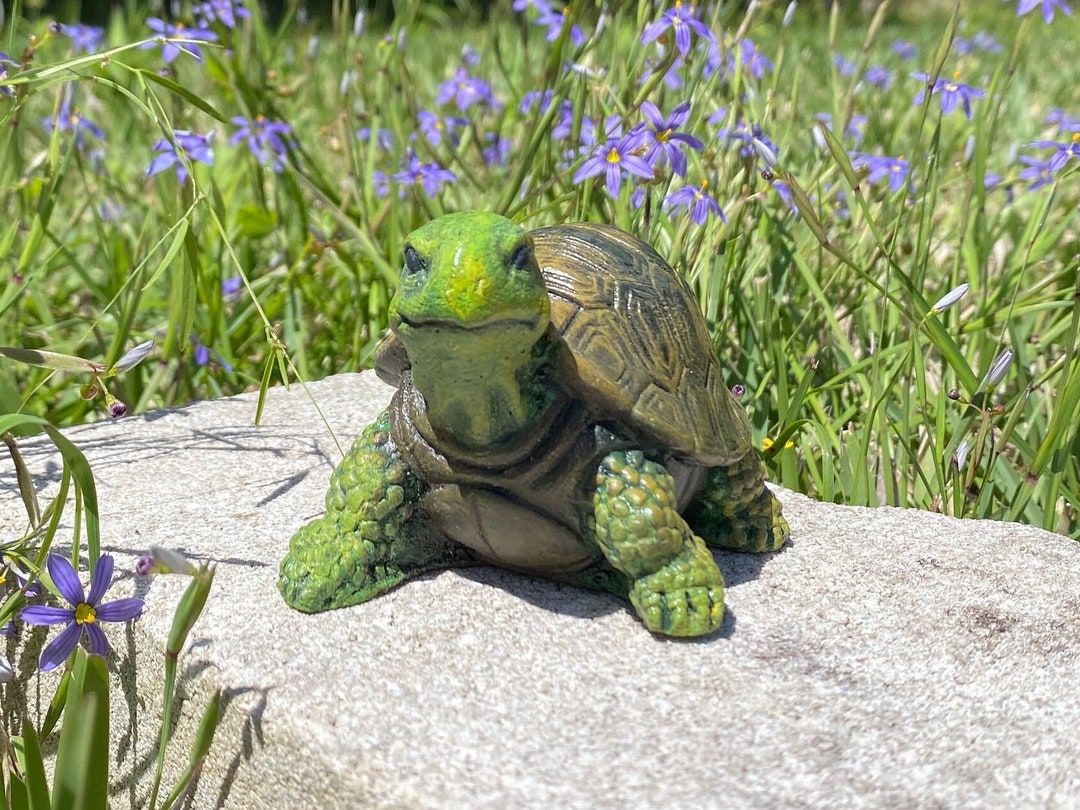 Small Green Turtle - Etsy