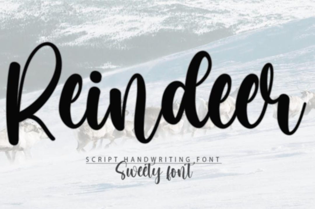 Reindeer Font, Display Font, Calligraphy Font, Handwritten Font, Retro ...