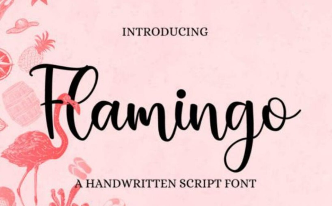 Flamingo Font, Handwritten Font, Cricut Font, Casual Font, Modern Font ...