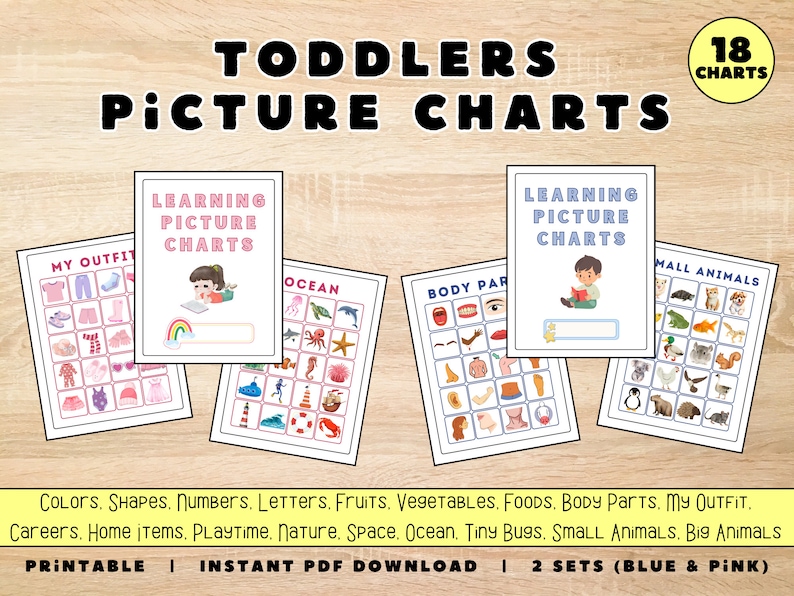 Kids Interactive Learning Posters Charts Shapes Colors Educational