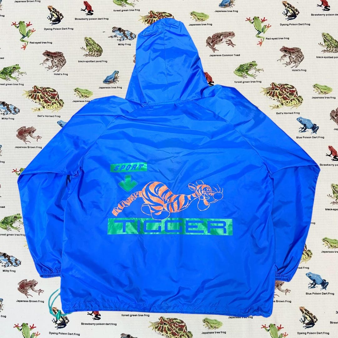 00's Disney Store / 'winnie the Pooh' Tigger / Blue Graphic Cartoon ...