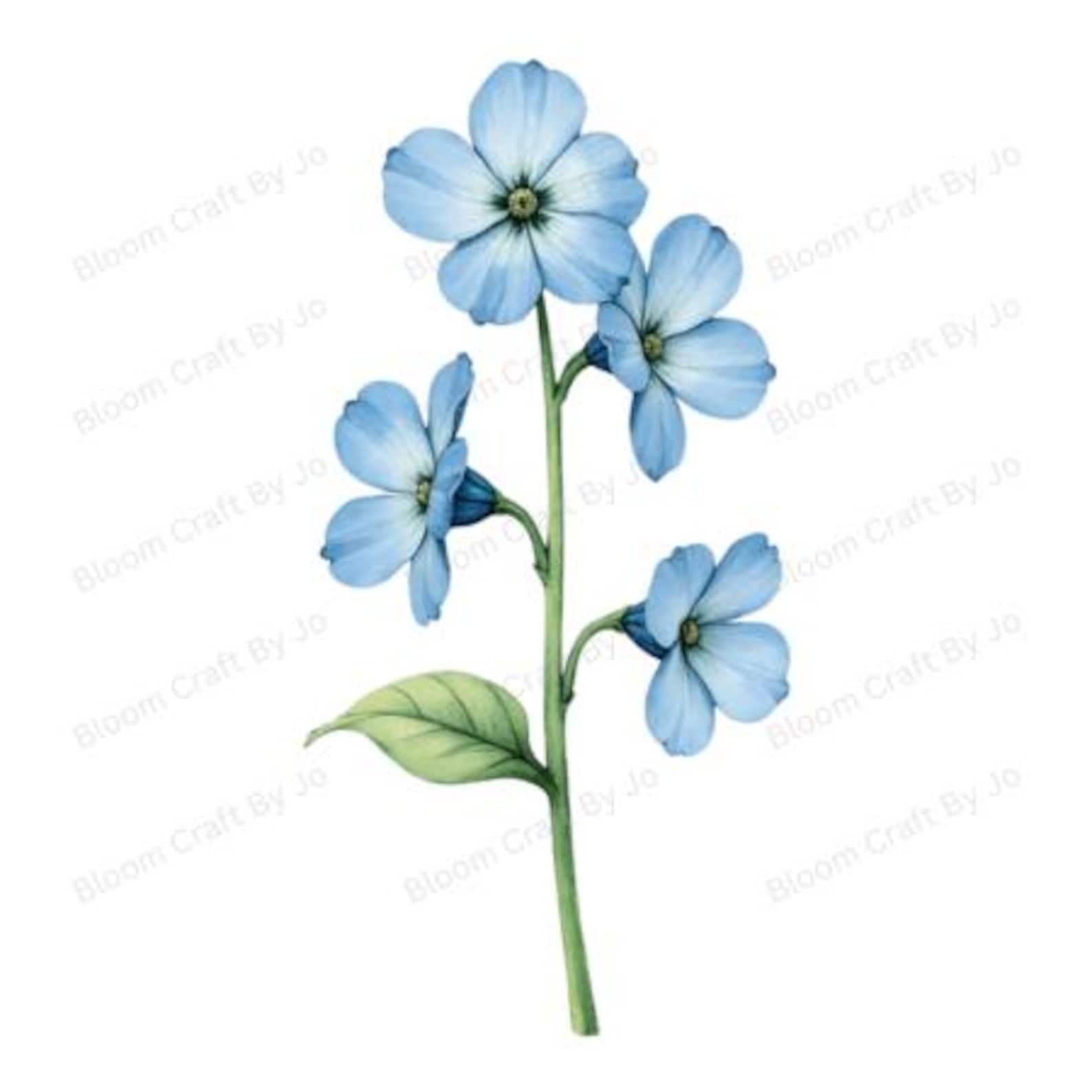 Language of Flowers – Watercolor Art Clipart Set | Forget Me Not ...