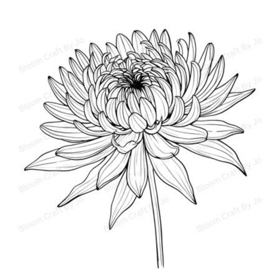 Chrysanthemum Birth Flower Clip Art – Minimalist Botanical Line Art ...
