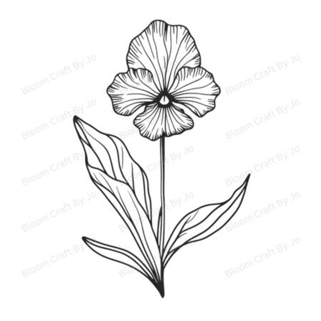Violet Birth Flower Clip Art – Minimalist Botanical Line Art (set of 10 ...