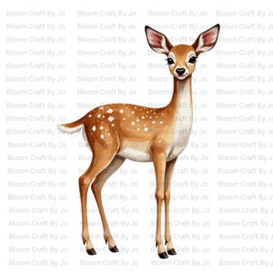 Woodland Animal Clip Art Bundle – Deer – Classic Watercolor Forest ...