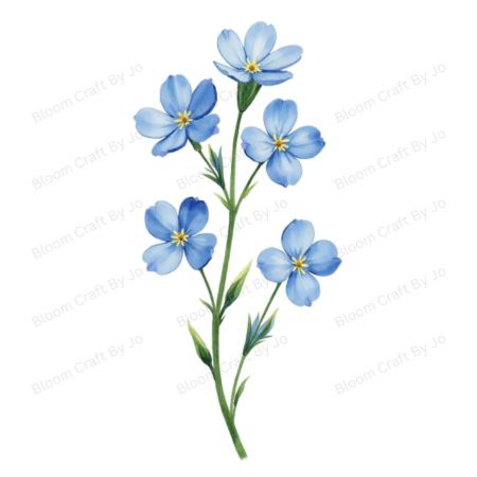 Language of Flowers – Watercolor Art Clipart Set | Forget Me Not ...