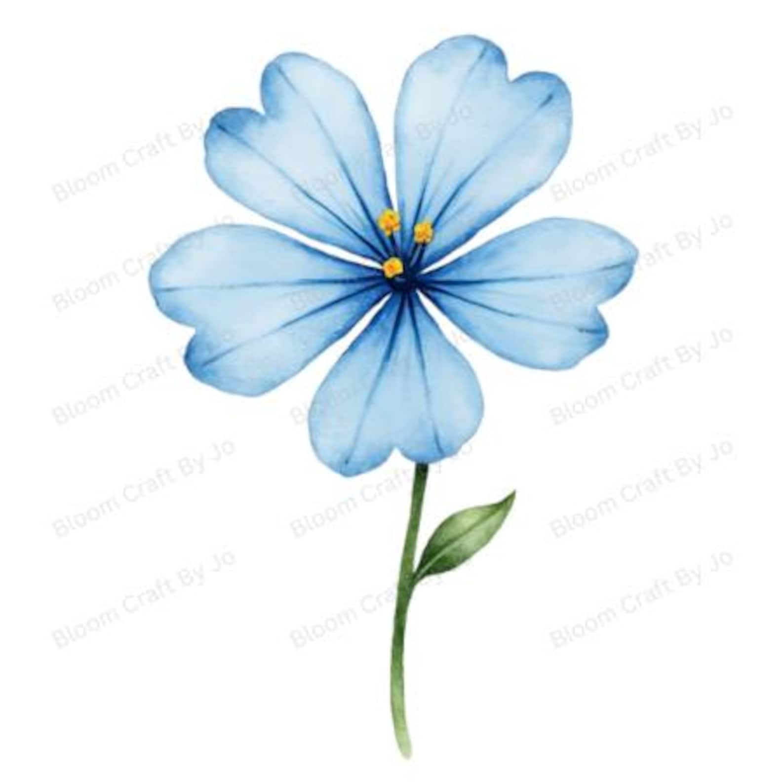 Language of Flowers – Watercolor Art Clipart Set | Forget Me Not ...