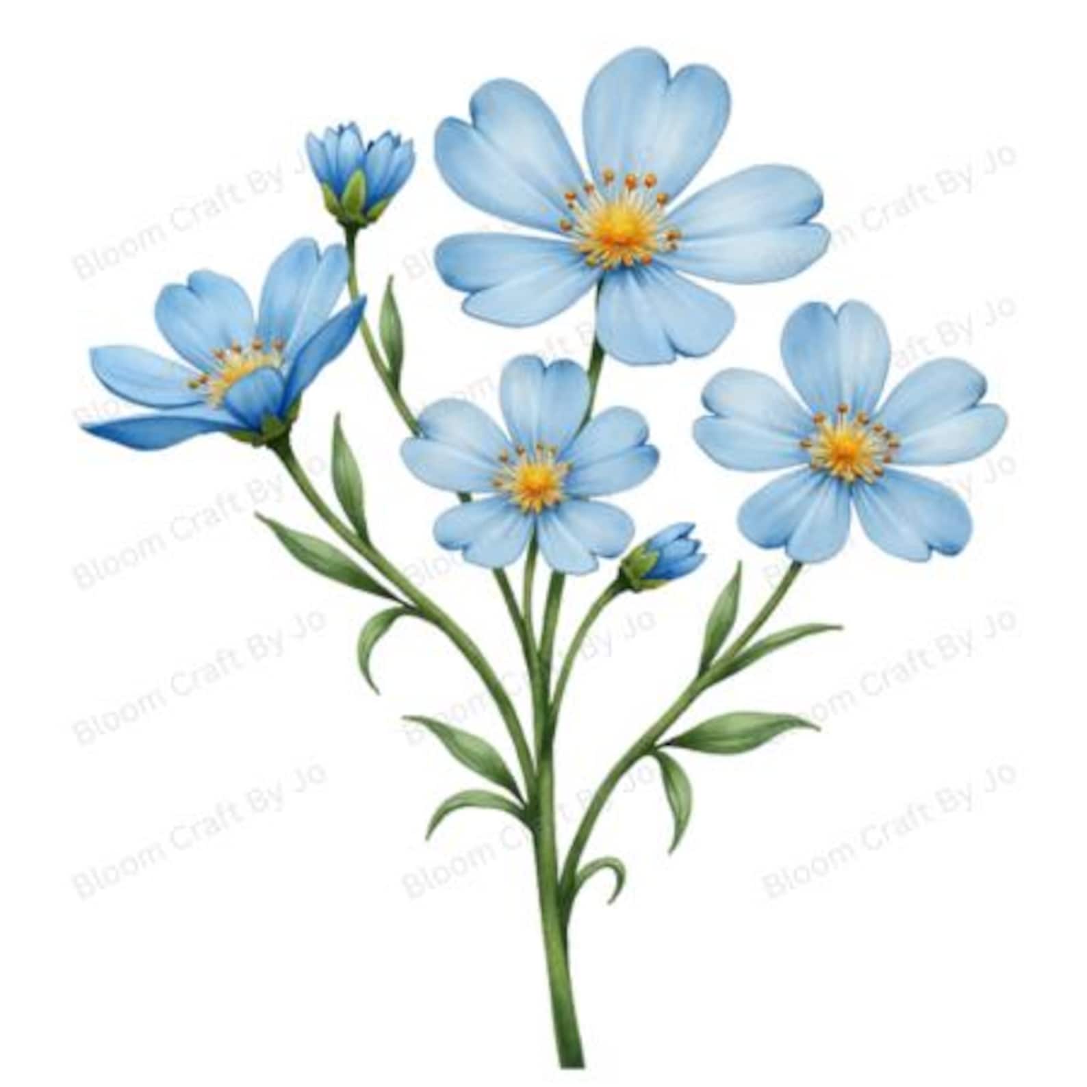 Language of Flowers – Watercolor Art Clipart Set | Forget Me Not ...