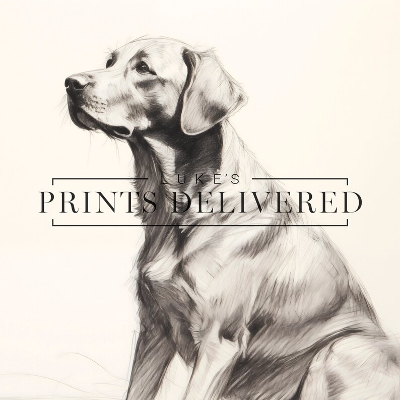 Silver Labrador Sketch Portrait Art Print - Fine Art, Semi-glossy ...