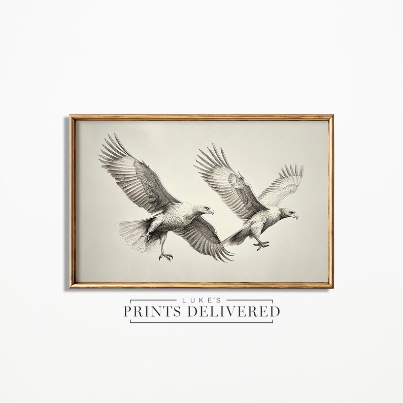 Flying Eagles Drawing Art Print - Vintage Style Birds Sketch - Fine Art ...