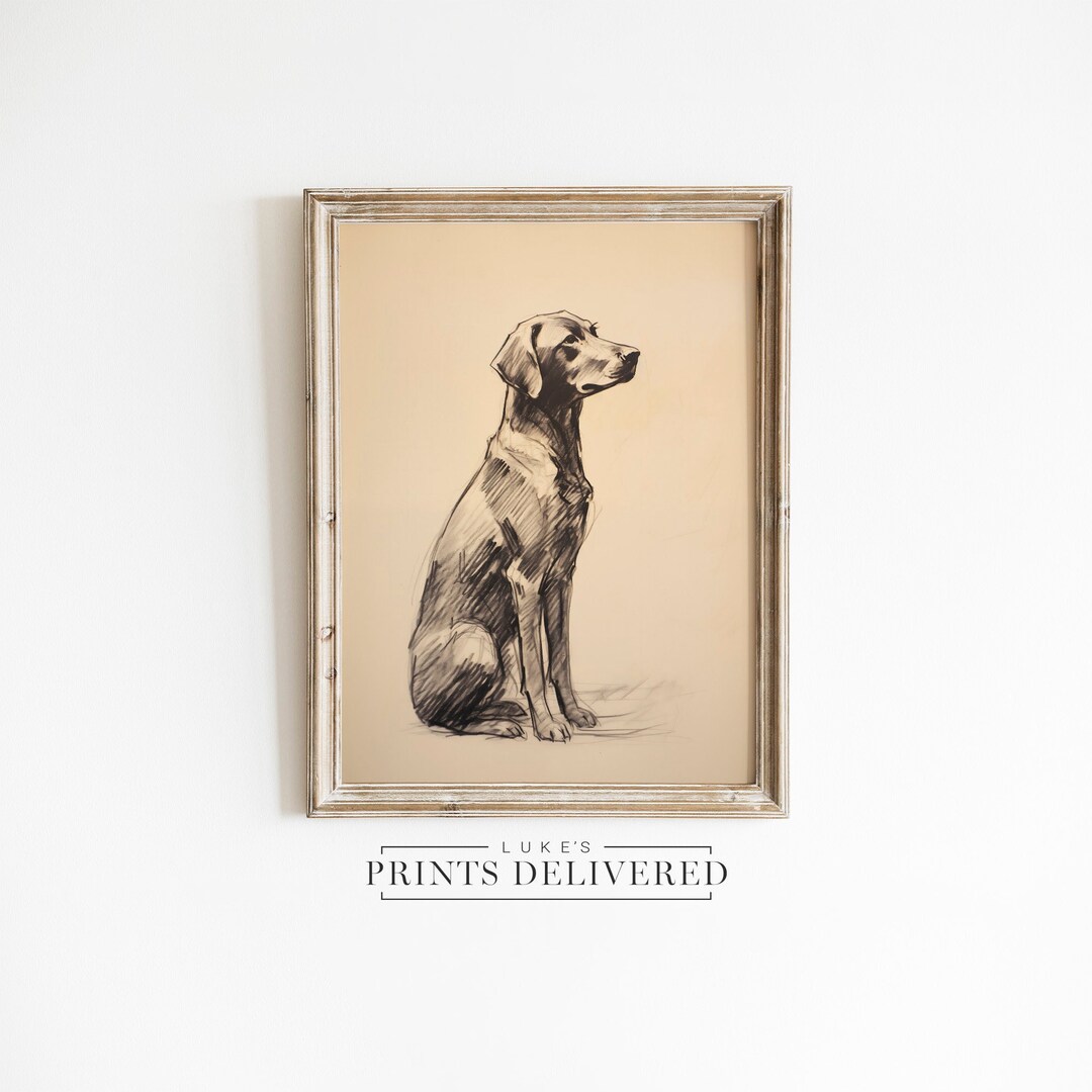 Vintage Labrador Drawing Art Print - Dog Portrait Artwork - Pet Sketch ...