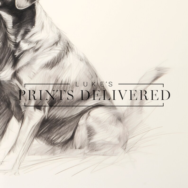 Silver Labrador Sketch Portrait Art Print - Fine Art, Semi-glossy ...