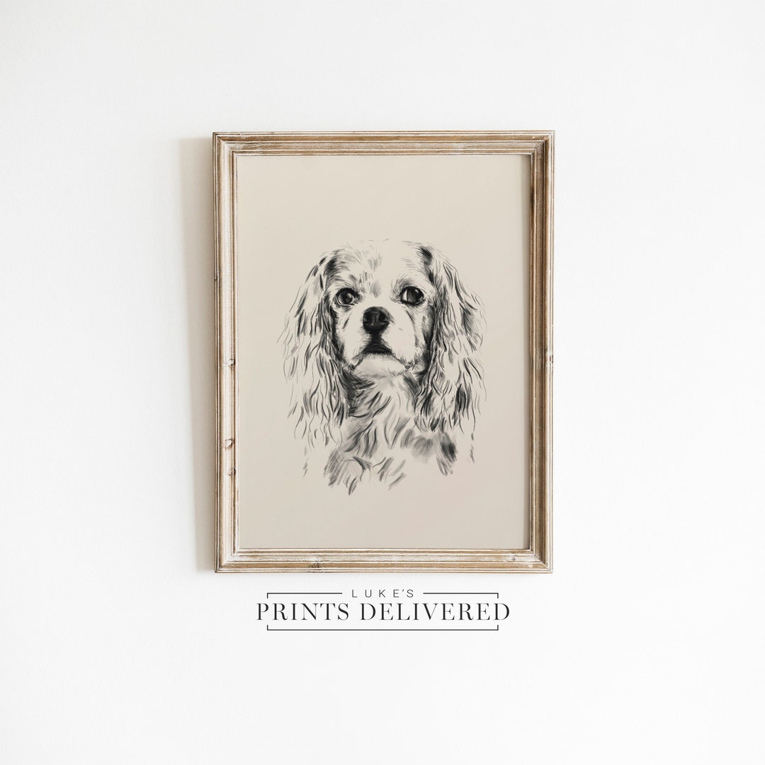 Cavalier Portrait Sketch Art Print - King Charles Spaniel Drawing Wall ...