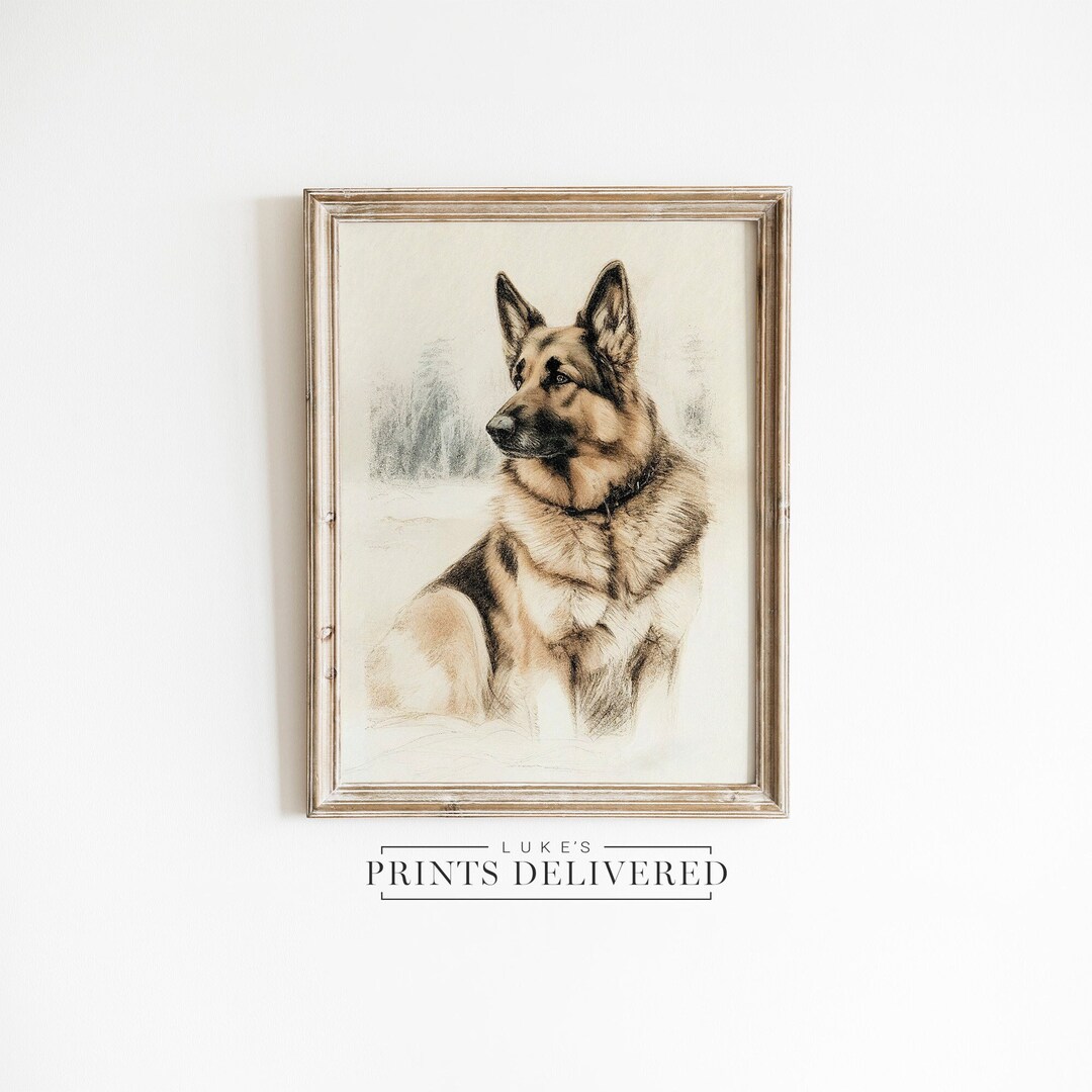 German Shepherd Drawing Art Print - Fine Art, Semi-glossy & Matte ...