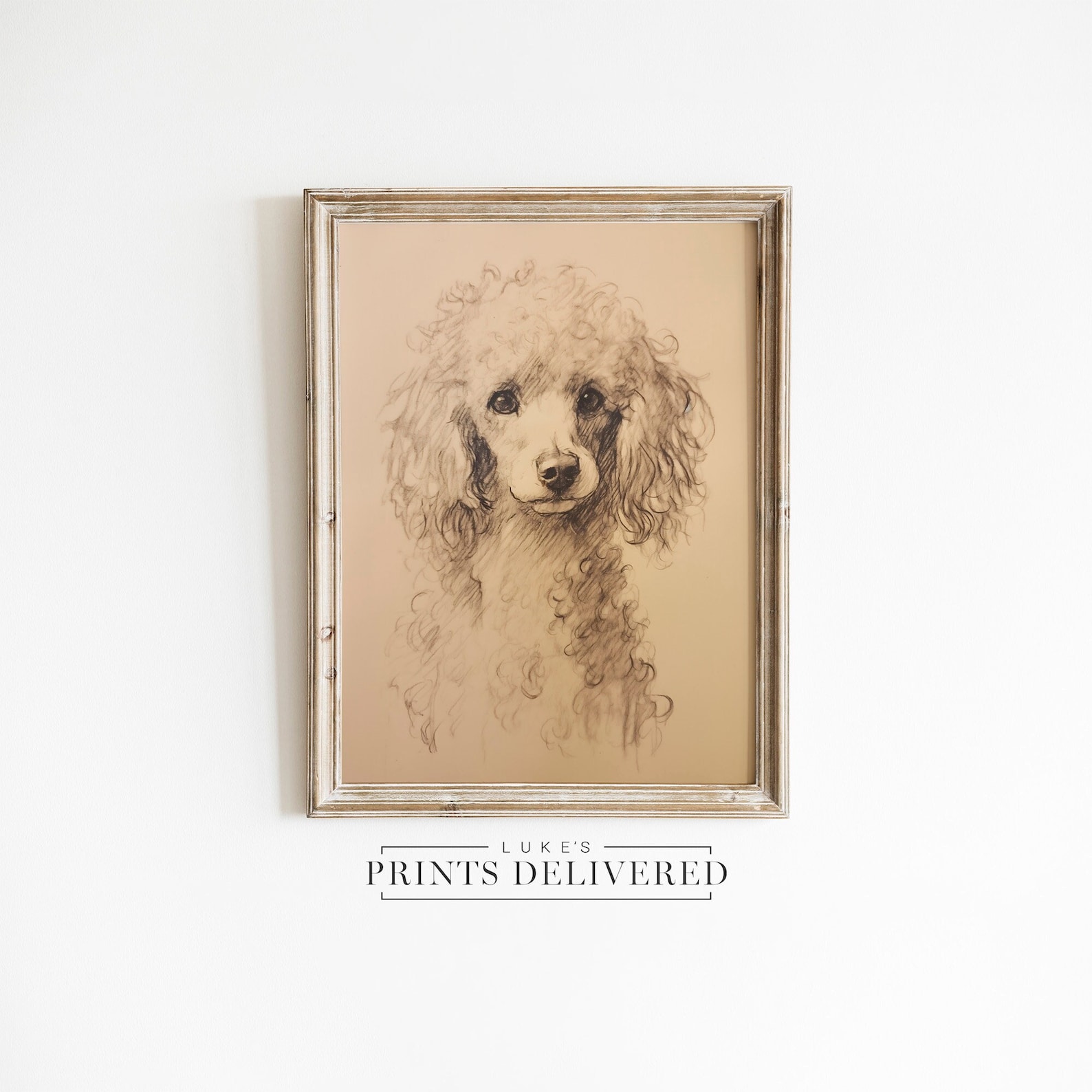 Poodle Portrait Drawing Print - Cute Small Dog Sketch - Fine Art, Semi ...