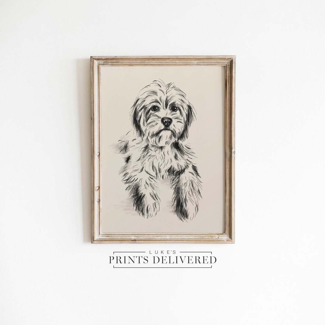 Cavoodle Sketch Art Print - Cute Cavapoo Drawing Artwork - Fine Art ...