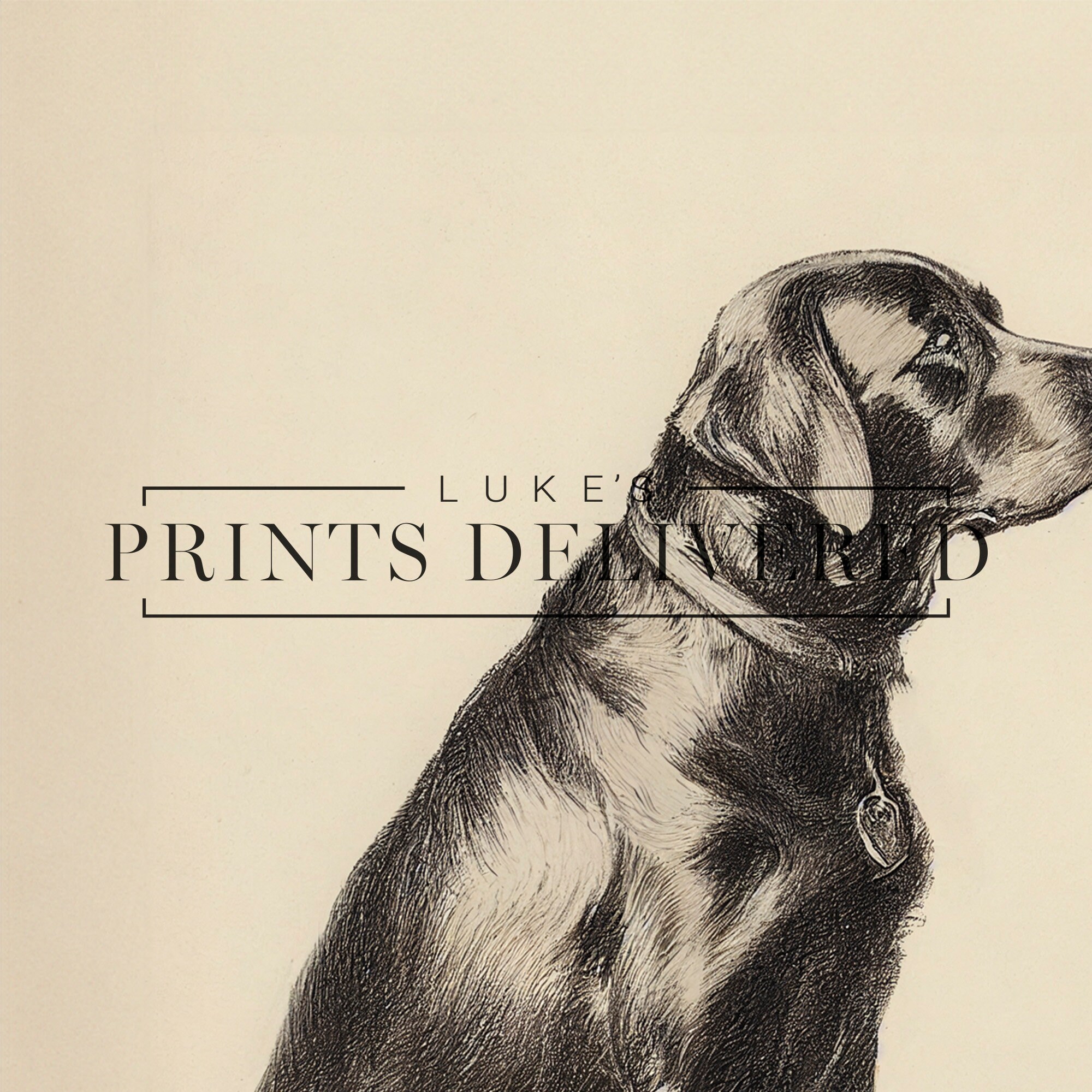 Black Labrador Portrait Sketch Print Vintage Dog Drawing Wall Art ...