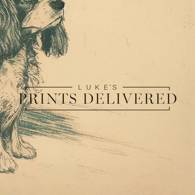 Rustic Cavalier Art Print - King Charles Spaniel Drawing - Cute Dog ...