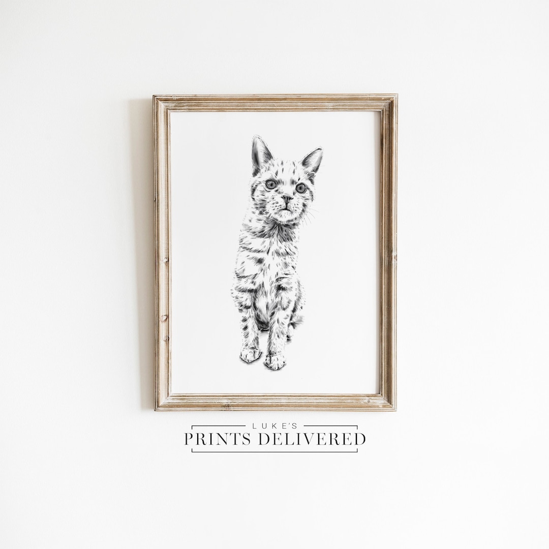 Ginger Cat Drawing Print - Minimalist Pet Portrait Sketch - Semi-glossy ...