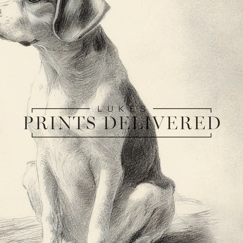 Beagle Portrait Sketch Print - Rustic Pet Portrait Wall Decor - Vintage ...