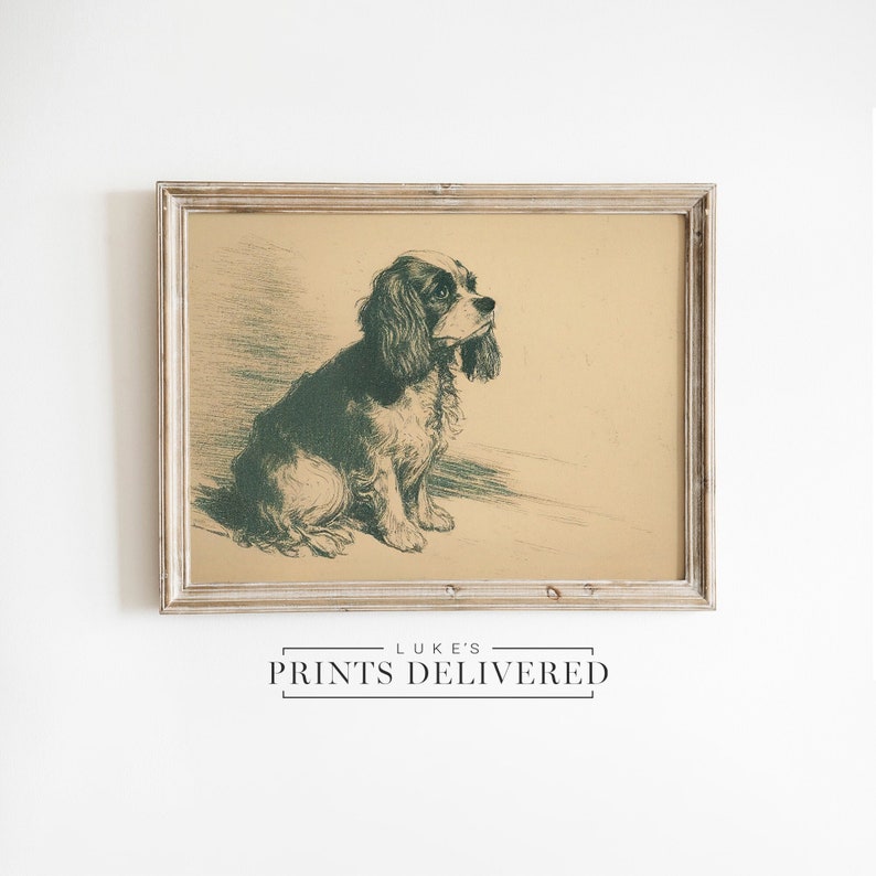 Rustic Cavalier Art Print - King Charles Spaniel Drawing - Cute Dog ...