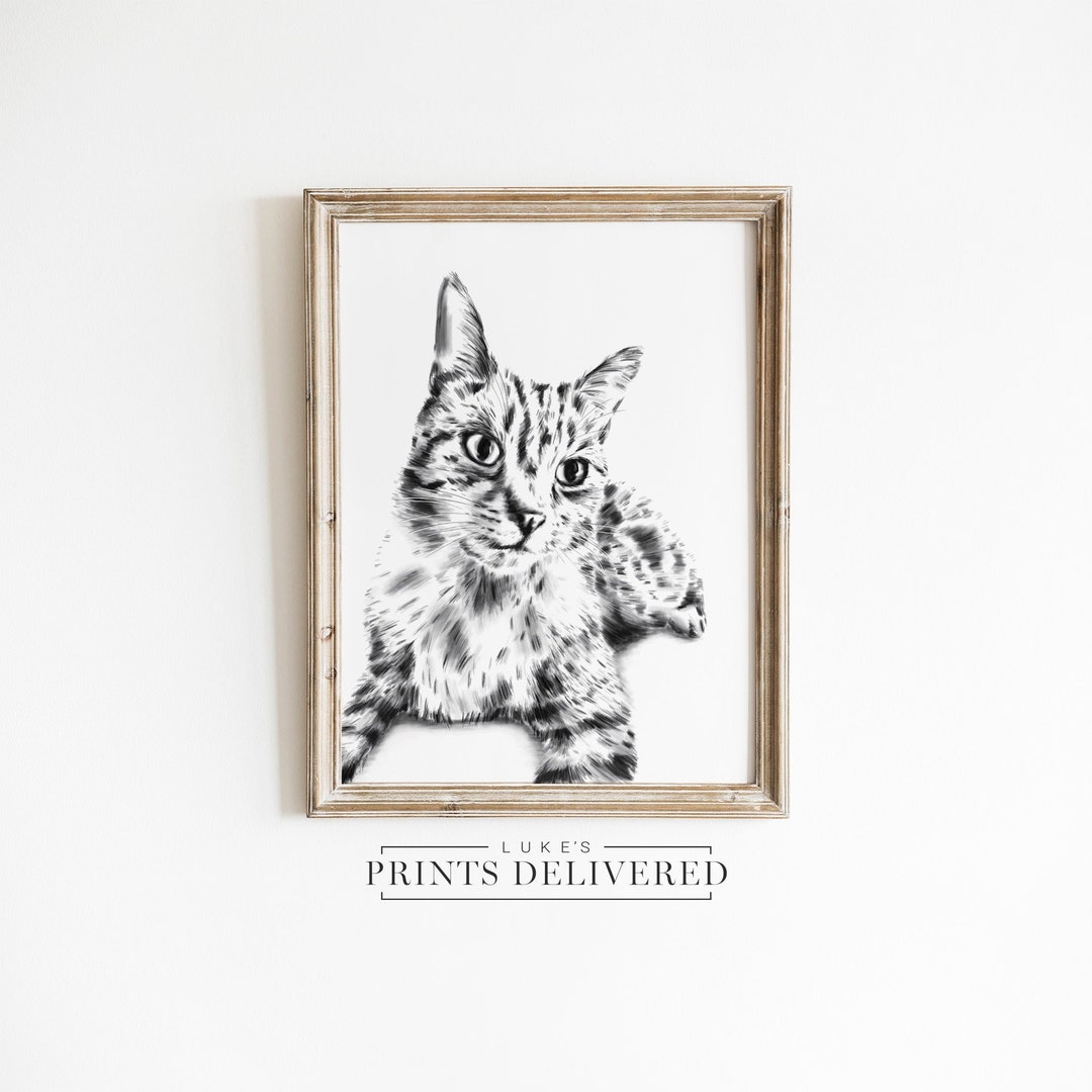 Tabby Cat Drawing Print - Kitten Portrait Sketch Wall Art - Semi-glossy ...
