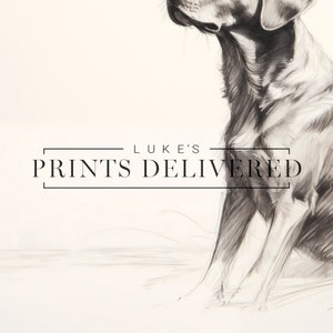Silver Labrador Sketch Portrait Art Print - Fine Art, Semi-glossy ...