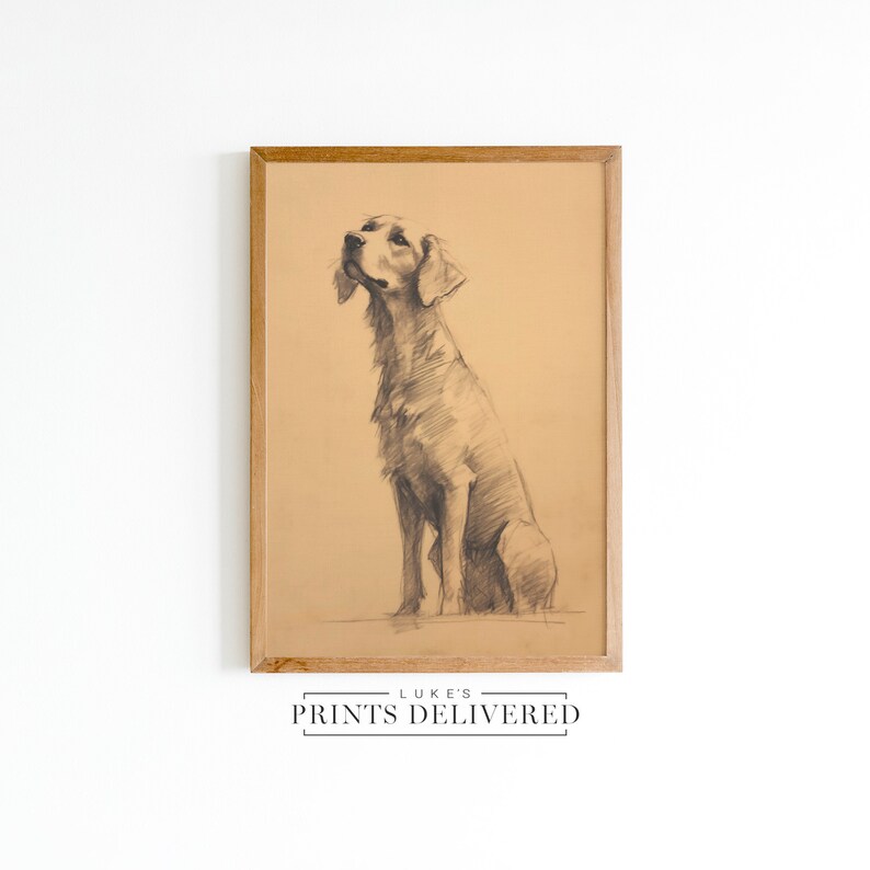 Vintage Style Golden Retriever Art Print - Fine Art, Semi-glossy ...