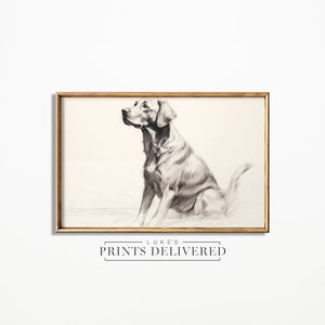 Silver Labrador Sketch Portrait Art Print - Fine Art, Semi-glossy ...