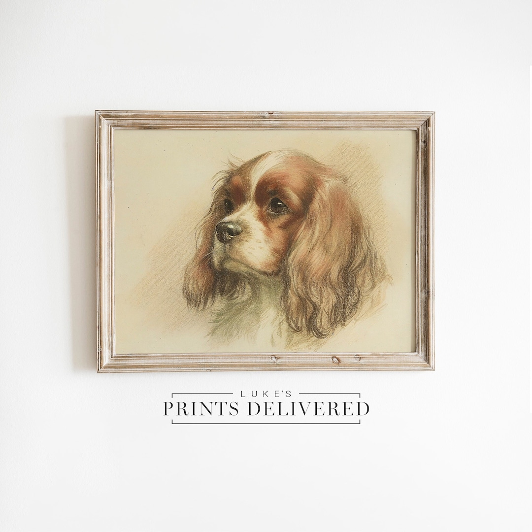 Cavalier Portrait Sketch Print - King Charles Spaniel Drawing - Rustic ...