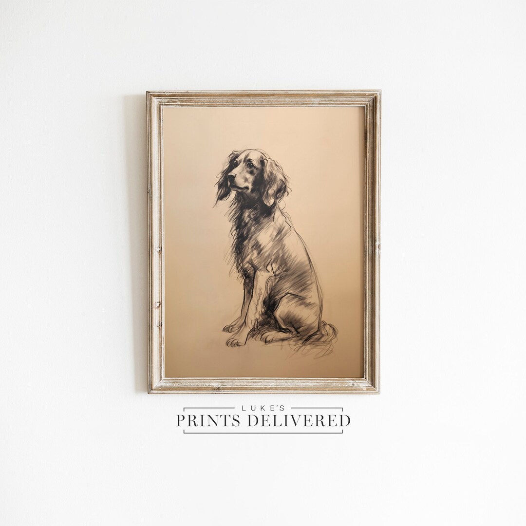 Springer Spaniel Sketch Art Print - Sitting Pet Dog Drawing Portrait ...