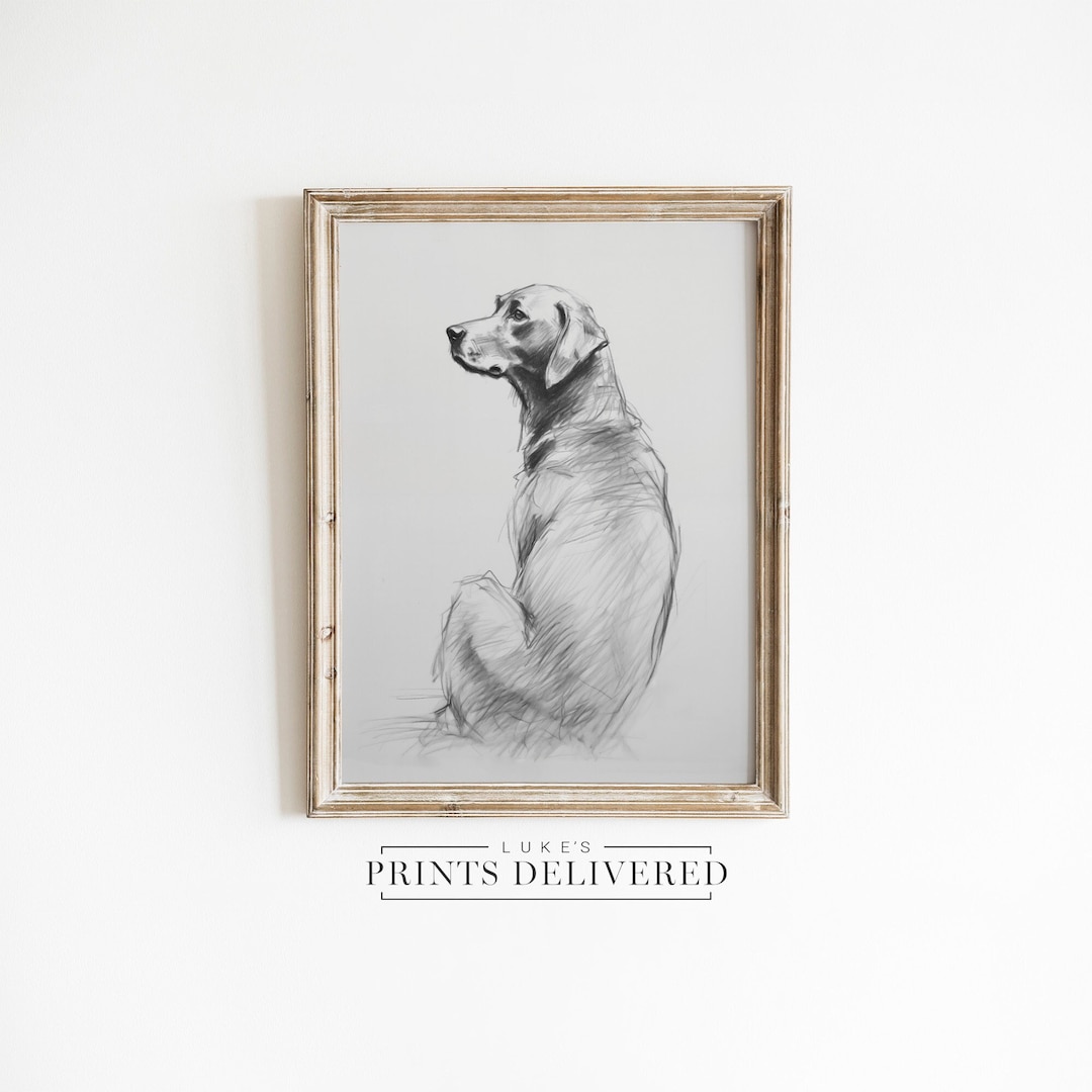 Silver Labrador Sketch Print - Moody Lab Illustration Artwork - Pet Dog ...