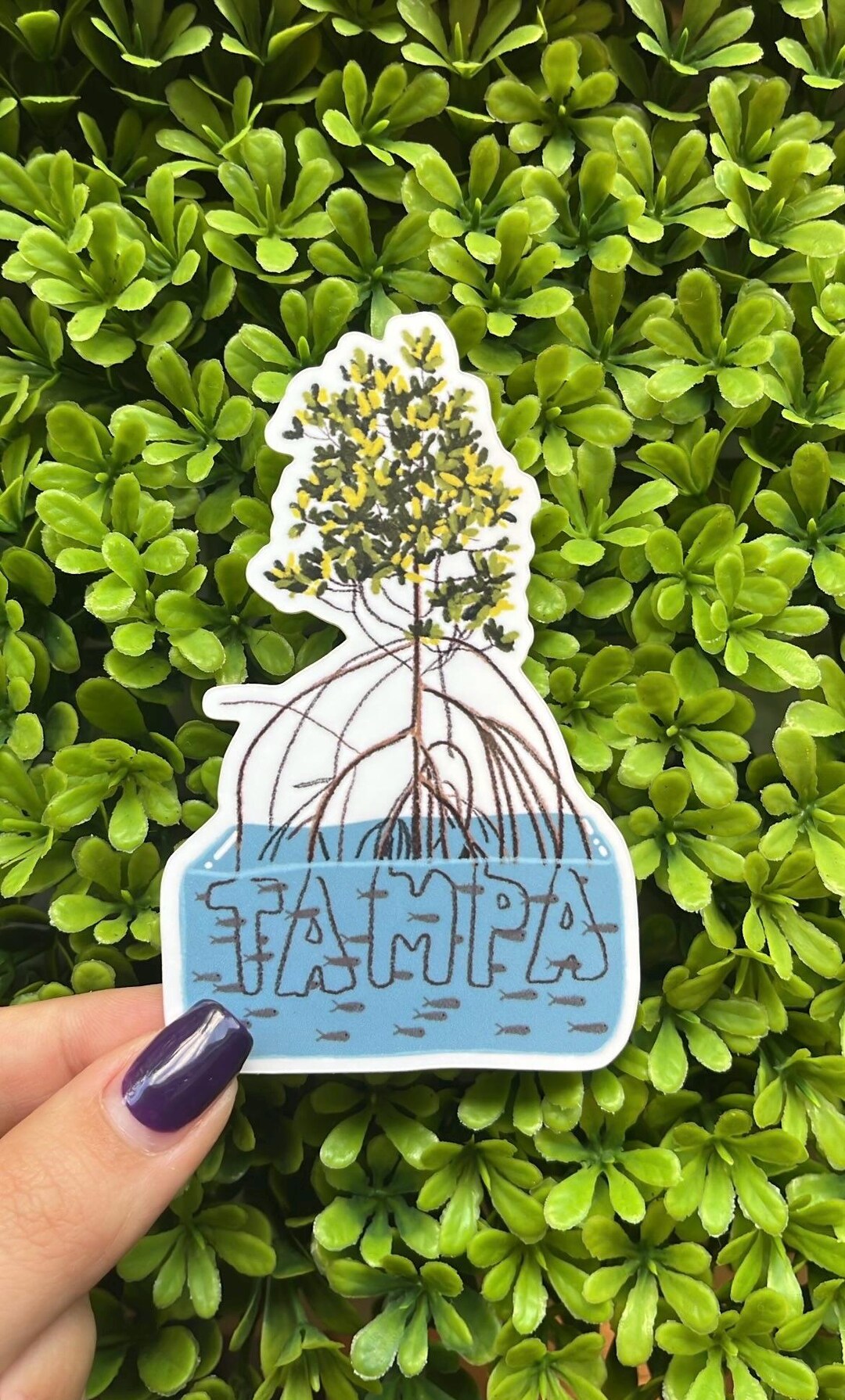 Tampa Mangrove Sticker - Etsy