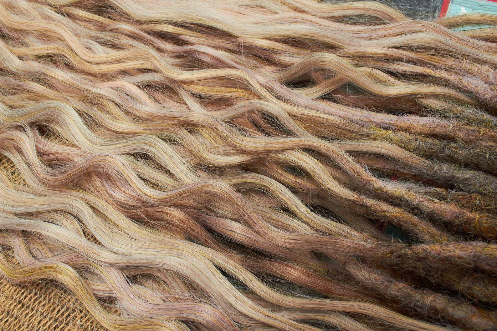 Synthetic Dreadlocks, Curly Wavy Dreads, Ombre Beige to Blonde, De or ...