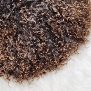 Merab Dvalishvili Papakha Hat Natural Goatskin - Etsy