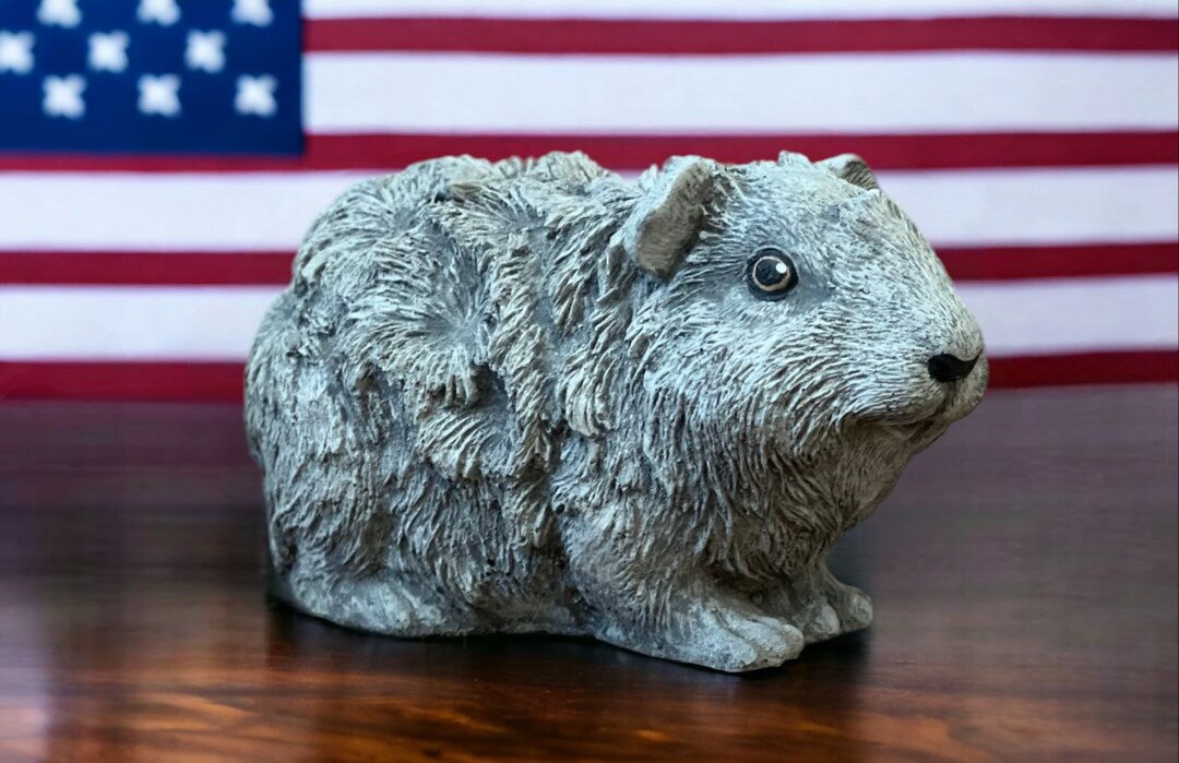 Guinea Pig Statue Detailed Guinea Pig Sculpture Outdoor Concrete Art ...
