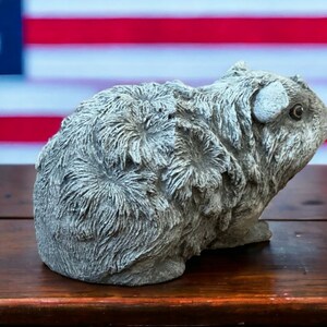 Guinea Pig Statue Detailed Guinea Pig Sculpture Outdoor Concrete Art ...