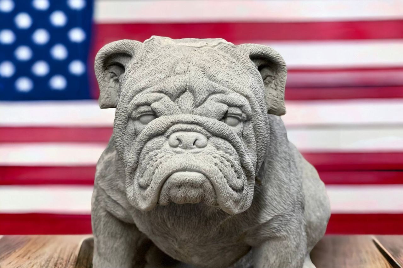 Concrete Realistic Bulldog Garden Statue Detailed Bulldog Stone ...