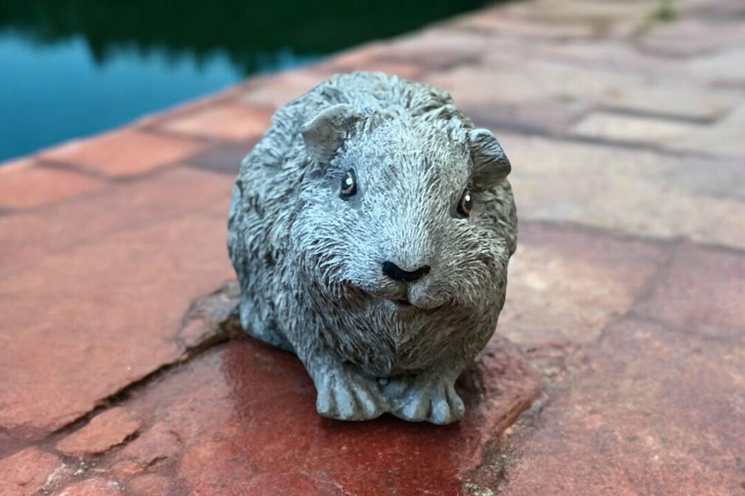 Realistic Guinea Pig Yard Statue Detailed Guinea Pig Figure Concrete ...