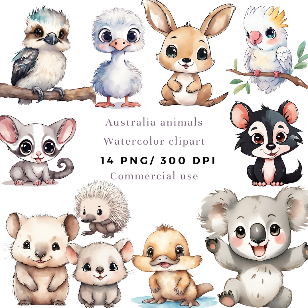 Cute Australia Animal Clipart Bundle Transparent Background PNG Images ...
