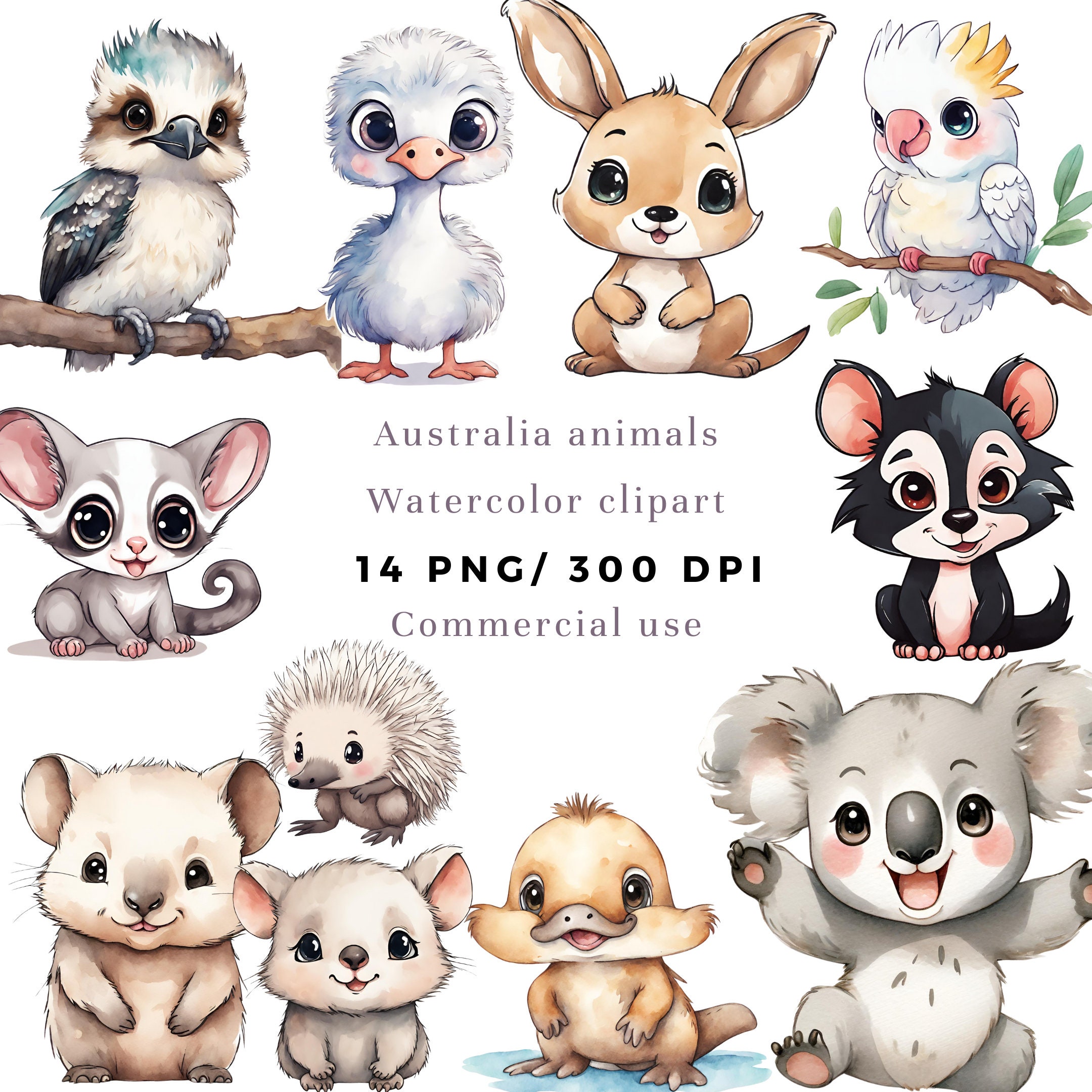 Cute Australia Animal Clipart Bundle Transparent Background PNG Images ...