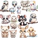 Cute Australia Animal Clipart Bundle Transparent Background PNG Images ...