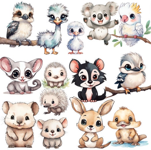 Cute Australia Animal Clipart Bundle Transparent Background PNG Images ...