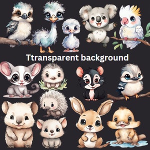 Cute Australia Animal Clipart Bundle Transparent Background PNG Images ...
