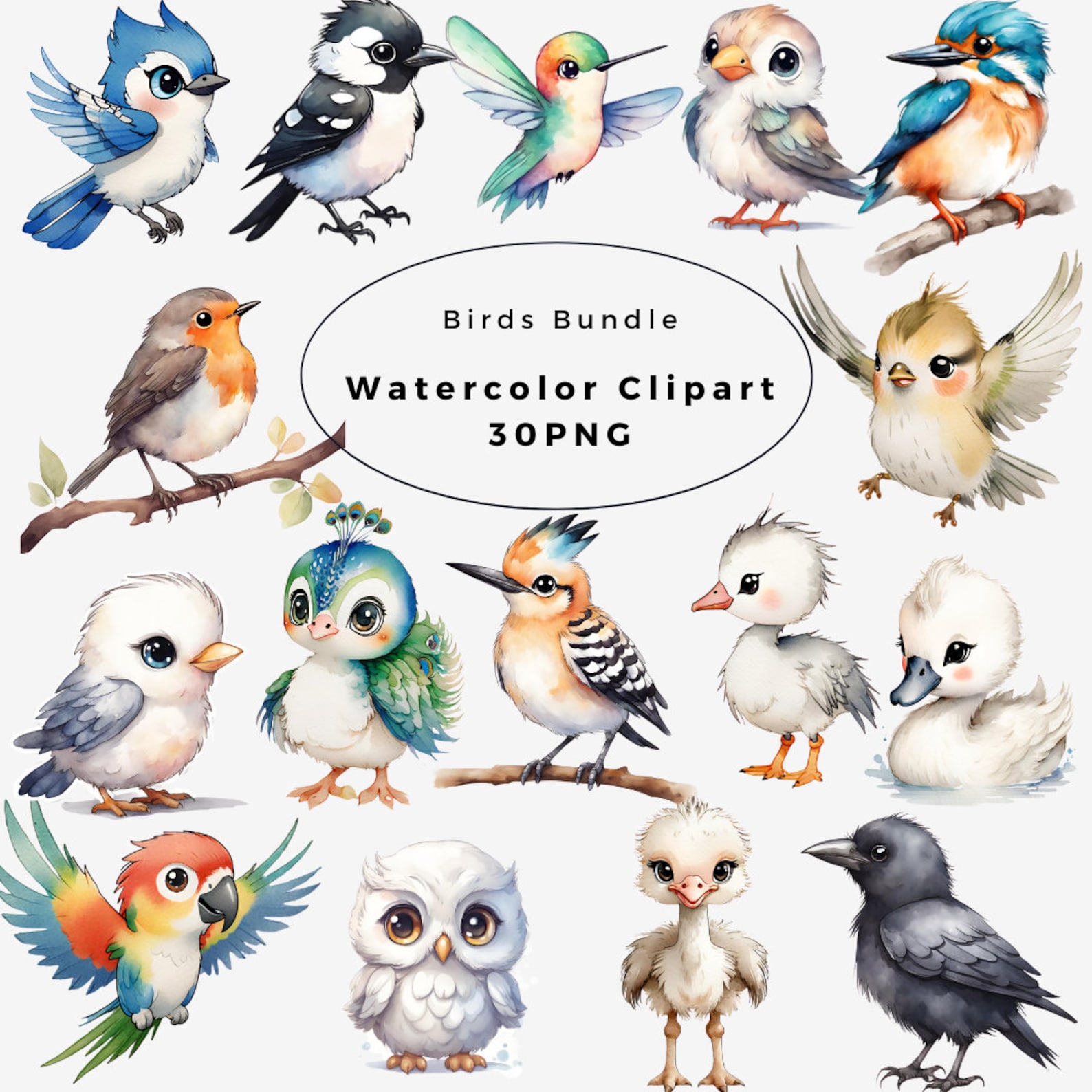Cute Birds Clipart Bundle PNG Images. Watercolor Clipart. Printable Art ...